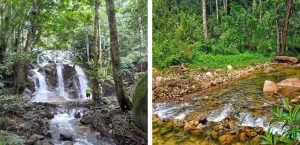 (2024) 11 Tempat Camping BEST di Perak