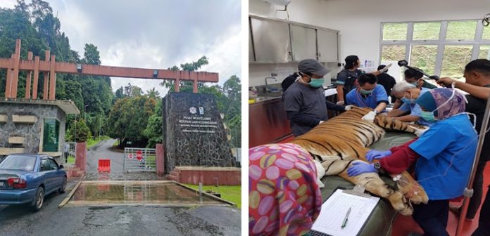 (2026) 10 Tempat Menarik di Sungkai Paling BEST