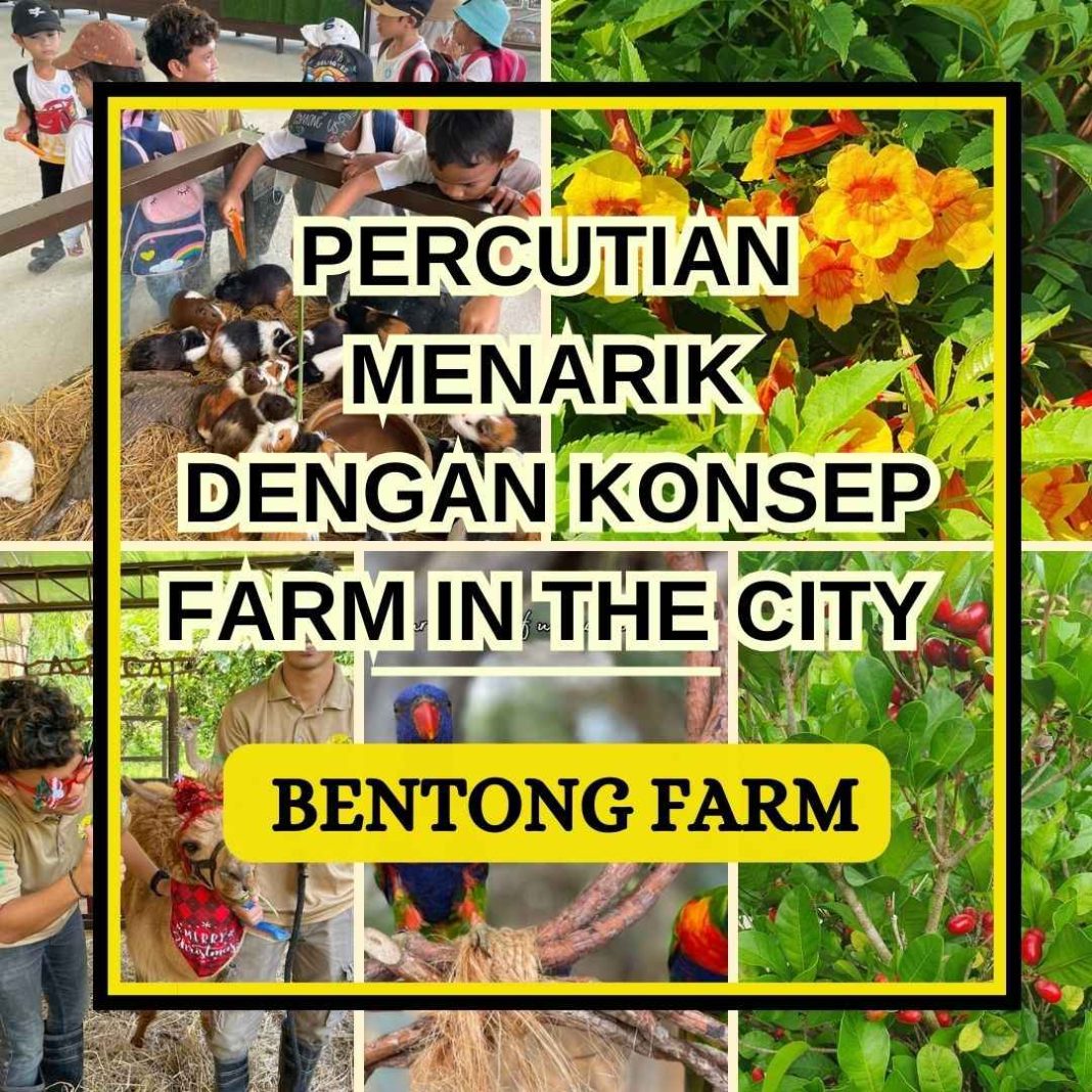 (2026) Bentong Farm - Best utk Sekeluarga